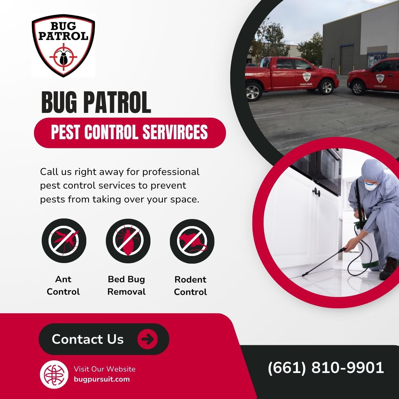 Expert Pest Control Services in the Antelope Valley | Bug Patrol